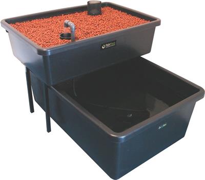 FishPlant Family Unit - Safe Roots