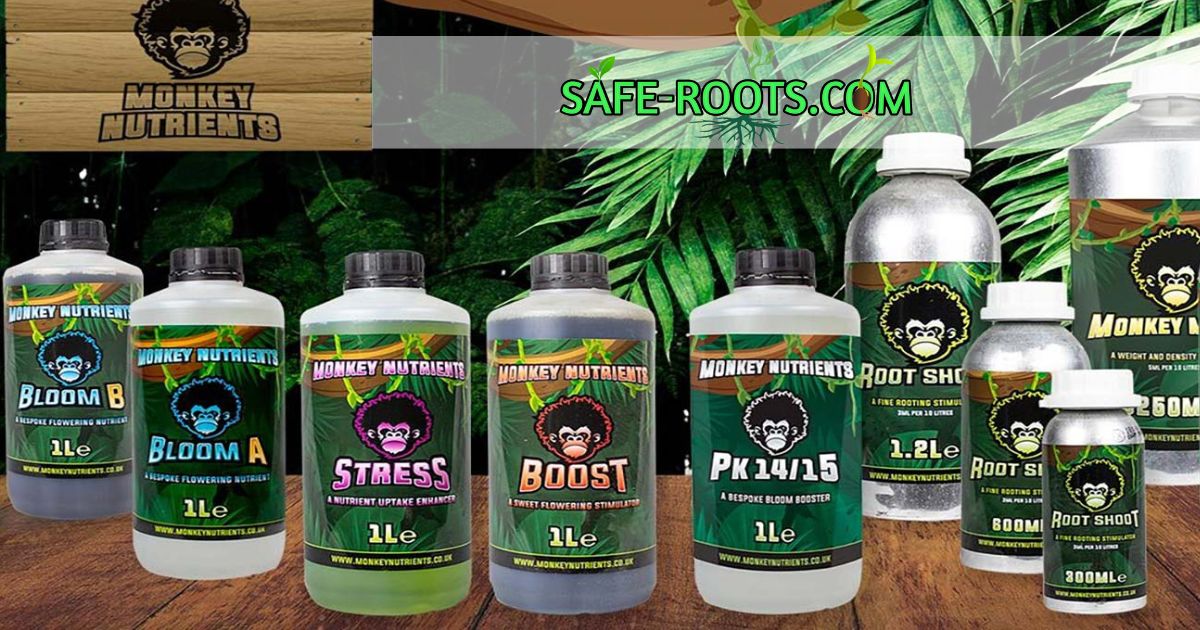 What Is Hydroponics - Safe Roots
